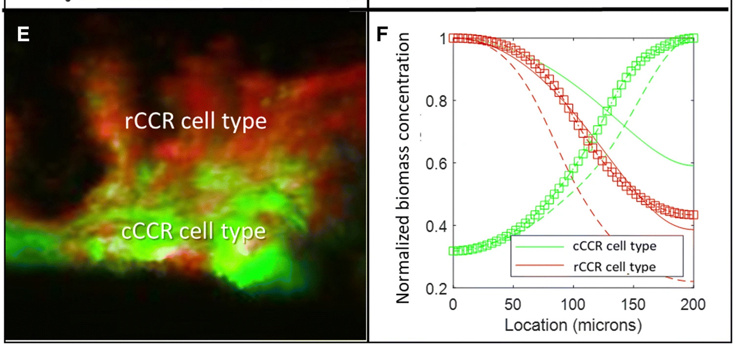 Publications - Thermal Biology Institute | Montana State University
