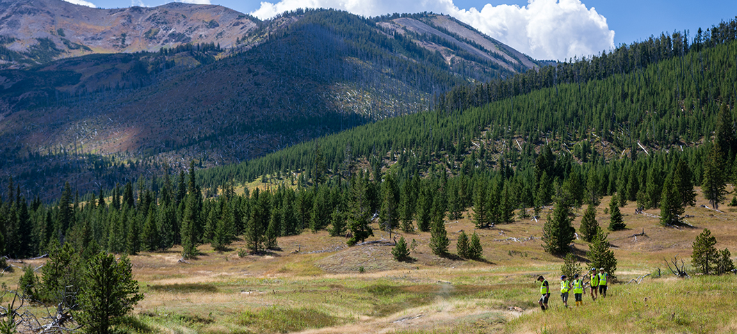 Default | Montana State University